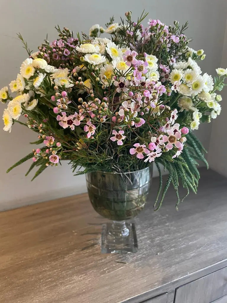 Wellspring - 1magnolialane